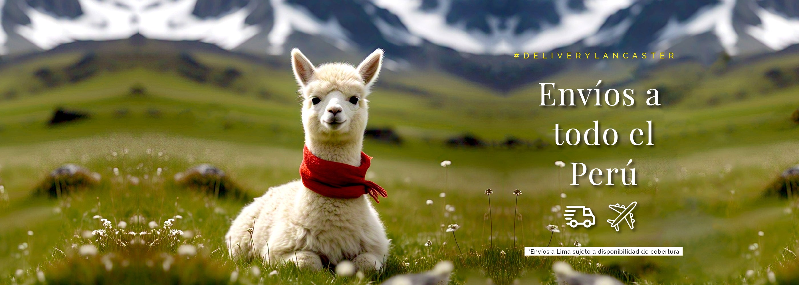 Lancaster - World of Alpaca