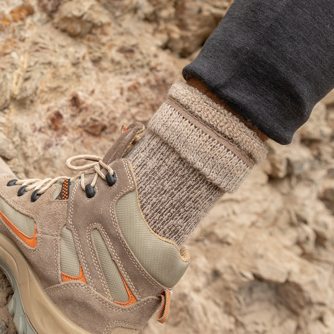 Lancaster - World of Alpaca